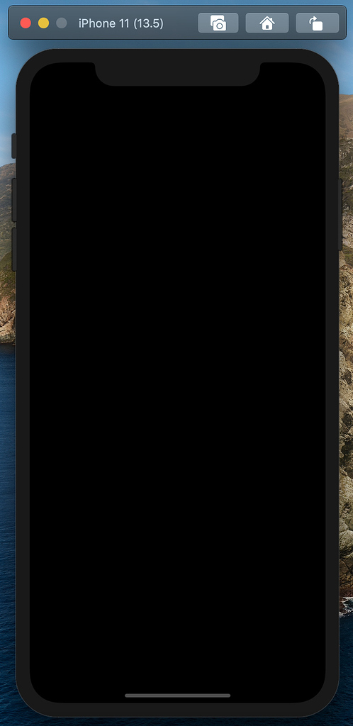 Black Screen When Starting App In The Simulator App Development Codecrew Community 